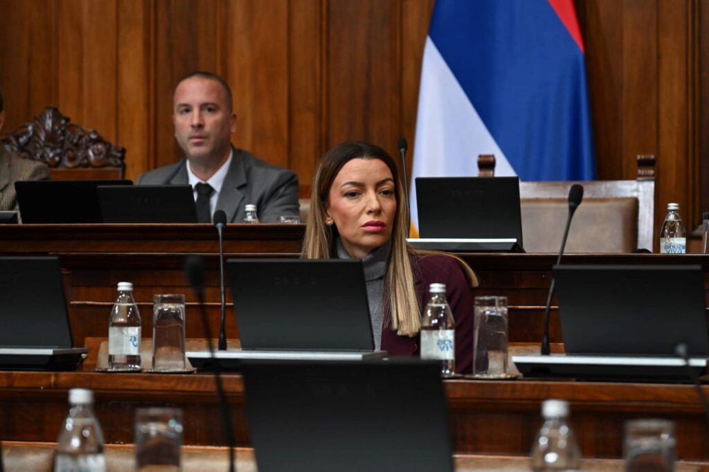 Ministarka Mesarović: Na hrvatskoj granici doživela sam strašan tretman ...