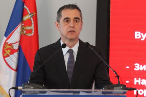 Nikezić (SSP) pozvao Brnabić da ne plaši ljude: Nestašica nema, ali su ...